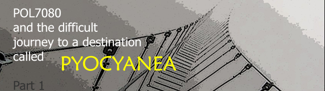 Polyphor POL7080 And The Journey to The Land of Pyocyanea (Part 1 ...